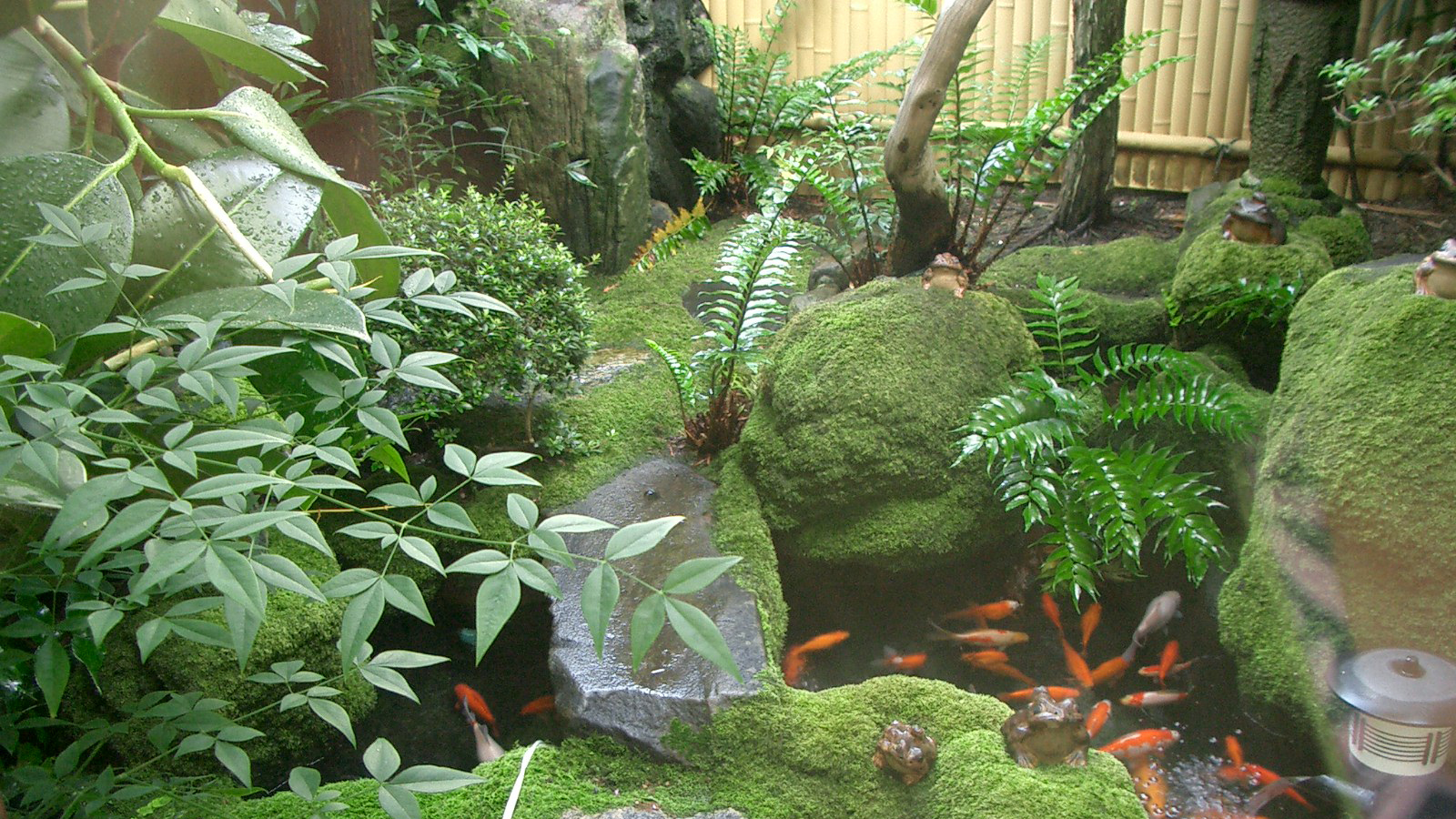 Mayan Superfoods: Sacred Crops That Shaped a Civilization – Soil Sages